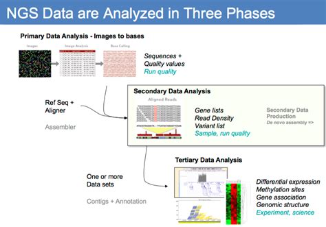 Solved Please Explain How Ngs Next Generation Sequencing