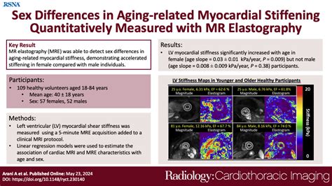 Sex Differences In Aging Related Myocardial Stiffening Quantitatively