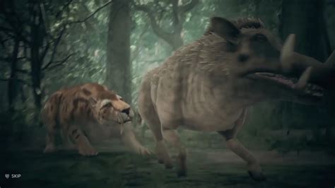 Ancestors The Humankind Odyssey G Machairodus Vs Warthog Youtube