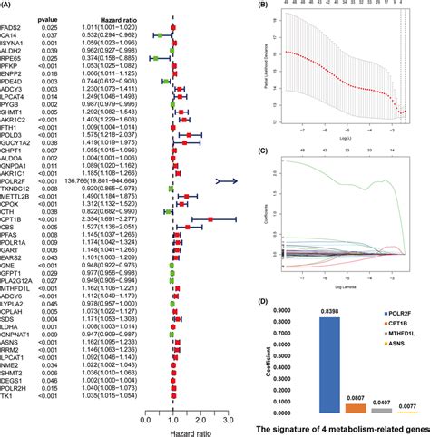 Construction Of A Prognostic Mrg Signature A Univariate Cox