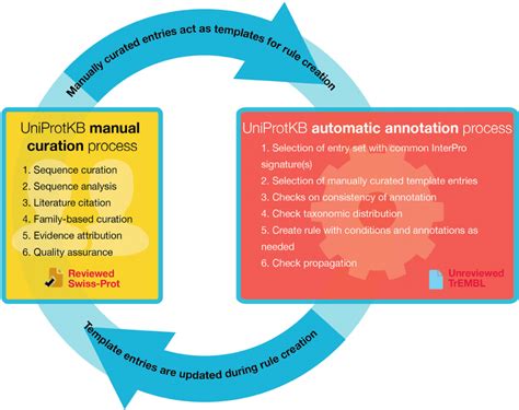 Uniprotkb Manual And Automatic Biocuration Processes Download