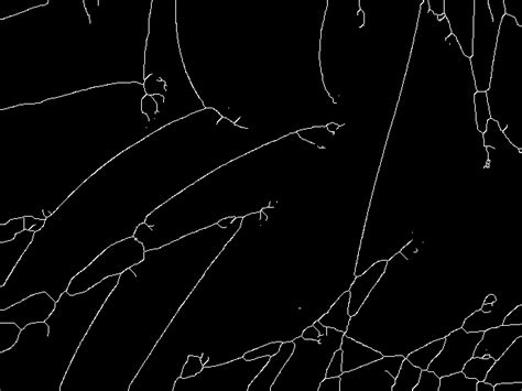 opencv hair counting algorithm stack overflow