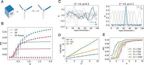 Data Driven Emergence Of Convolutional Structure In Neural Networks Pnas