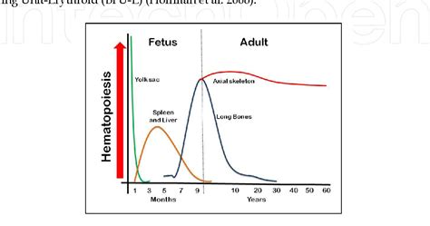 Figure 1 From Correlations With Point Mutations And Severity Of