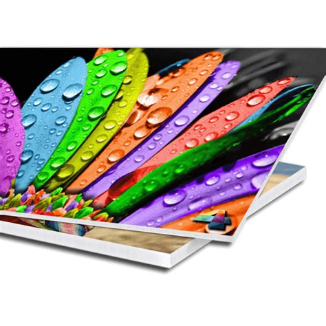 Adhesivo Pegado Sobre Pvc 3mm Impresionacr Costa Rica