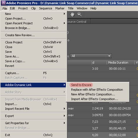 tutorial a dynamic look at adobe dynamic link