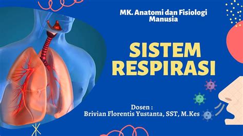Sistem Respirasi Sistem Pernafasan Mk Anatomi Dan Fisiologi Manusia