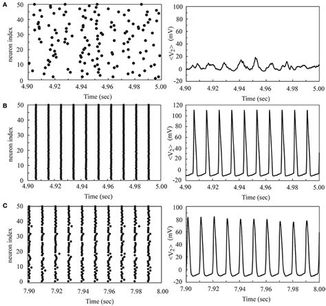 frontiers synchronization and inter layer interactions of noise