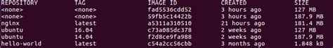 linux docker write pipe bad file descriptor stack overflow
