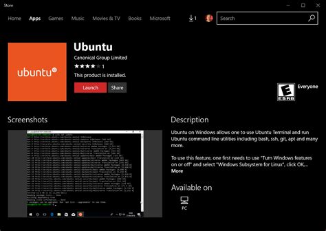 windows command line tools for developers windows console bash on ubuntu on windows windows
