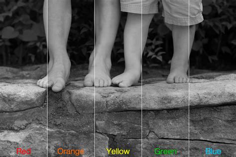 understanding black and white filters in lightroom
