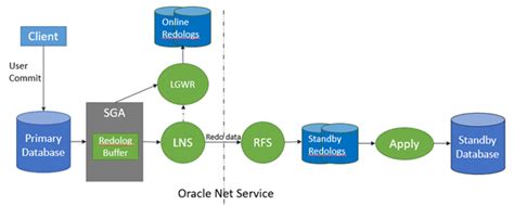 oracle database administration overview of oracle data guard architecture