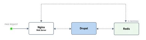 drupal 8 and redis part 1 nginx serve content directly