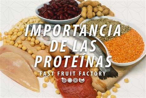 ¿por Que Es Importante Incluir Proteínas En Tu Alimentación Fast