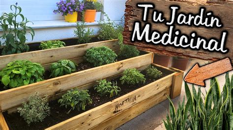 Un Jardin Hermoso De Plantas Medicinales Las 10 Plantas MÁs Curativas