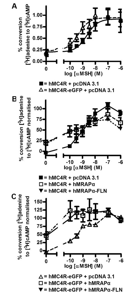 Comparison Of Hmc4r And Hmc4r Egfp Coupling To Adenylyl Cyclase Hmc4r