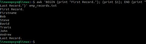 linux awk command explained with examples