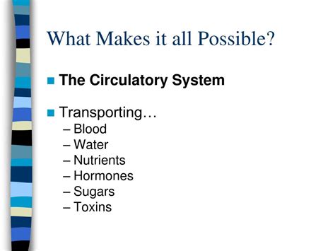 Ppt Chapter 9 Homeostasis And Circulation Powerpoint Presentation