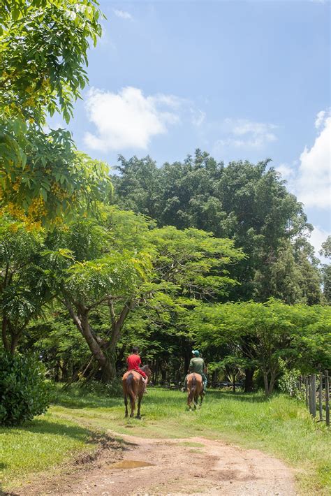 Você Sabe Qual A Importância Da Educação Ambiental Na Infância Sítio