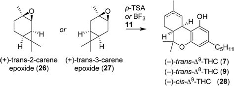 Synthetic Pathways To Tetrahydrocannabinol Thc An Overview Organic