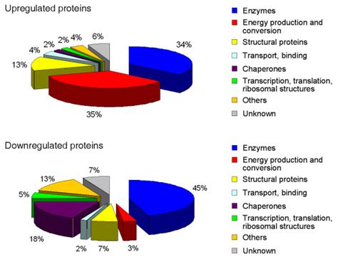 Functional Categories Of The Differentially Expressed Proteins Pie