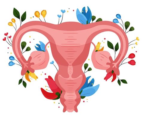 Free Vector Woman Reproductive System Floral Design
