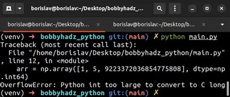 overflowerror python int too large to convert to c long bobbyhadz