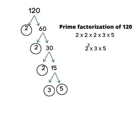 [solved] prime factorization step by step easy method 1 to 1000