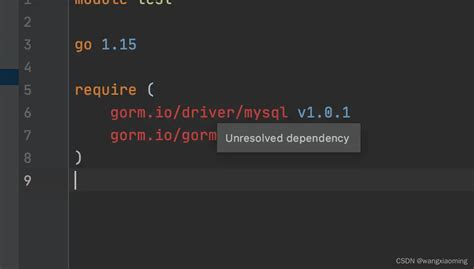 goland unresolved dependency问题解决 csdn博客