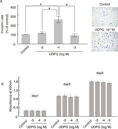 Udpg Promoted Htr 8 Svneo Cell Invasion But Did Not Affect