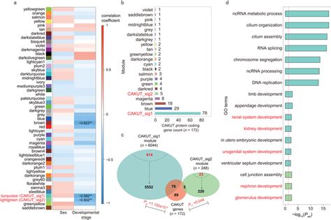 Cnv Lncrna Developmental Coexpression Modules Related To Cakut And