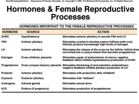 human anatomy and physiology chapter 24 reproductive system