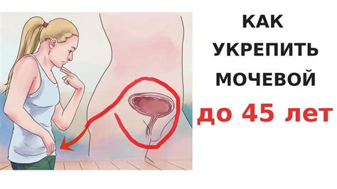 Как укрепить мочевой пузырь Лечение опущения стенок влагалища матки и