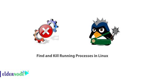 how to find and kill running processes in linux eldernode