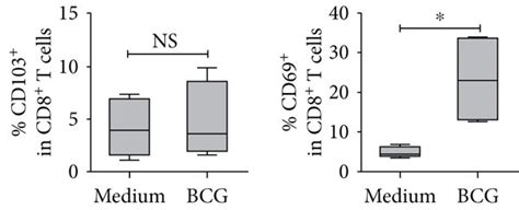 Upregulation Of Cd103 And Cd69 On Cd8⁺ T Cells By Tgf β And Ifn α