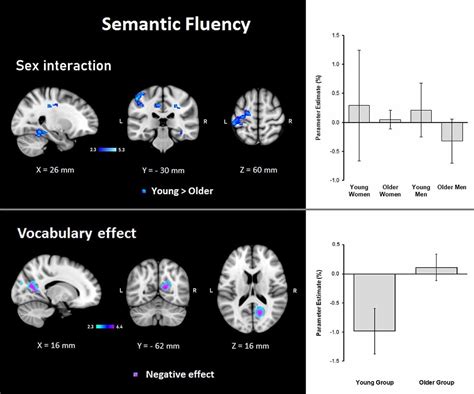 frontiers the role of moderating variables on bold fmri response