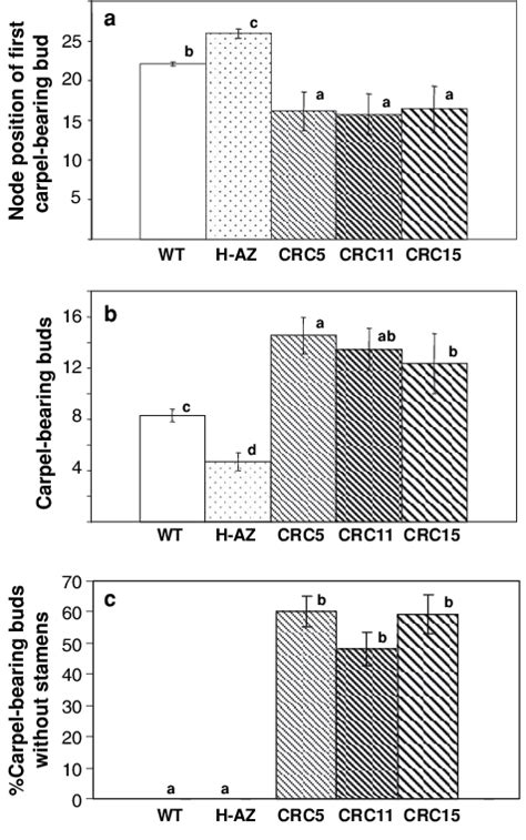 Sex Expression Patterns Along The Main Stem Of Crc Etr1 1 T 1 Melon