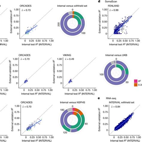 External Validation Of Genetic Scores In Cohorts Of European