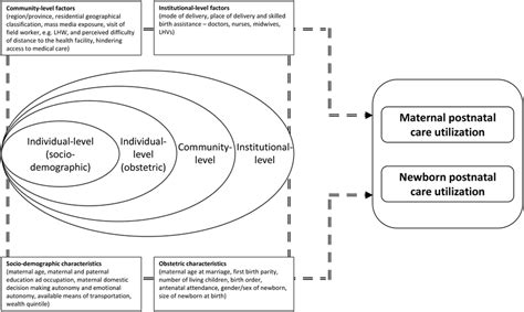 Hierarchical Conceptual Framework Of Maternal And Newborn Postnatal