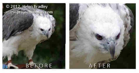 how to crop to fixed ratio in photoshop