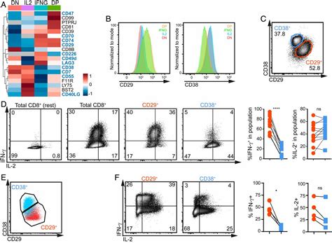 Cd29 Identifies Ifn γ–producing Human Cd8 T Cells With An Increased