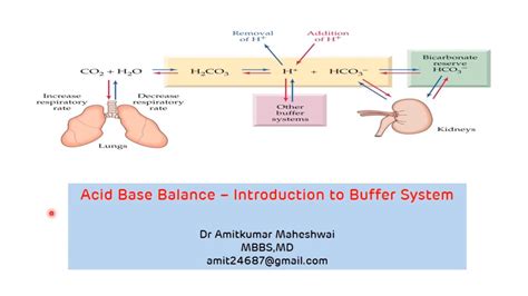Introduction To Buffer System Regulation Of Ph Acid Base Balance