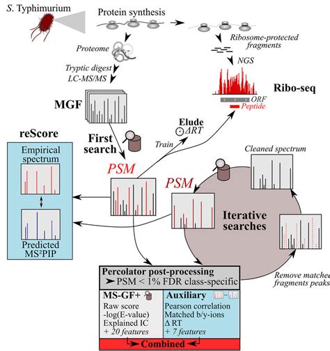 Proteomics Pipeline Using Percolator 15 Postprocessing Of 34 Features