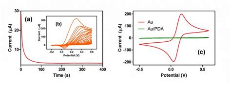 Electropolymerization Of Polydopamine Pda Film Onto A Cnt Modified