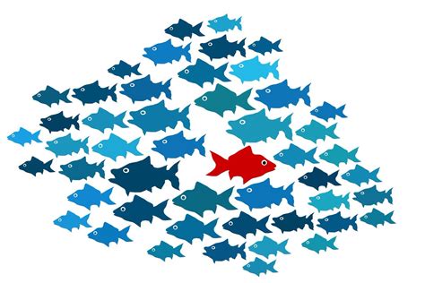 treat outliers in the dataset outlier treatment for data science
