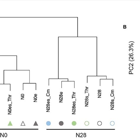 Global Gene Expression Patterns A Hierarchical Clustering Of Gene