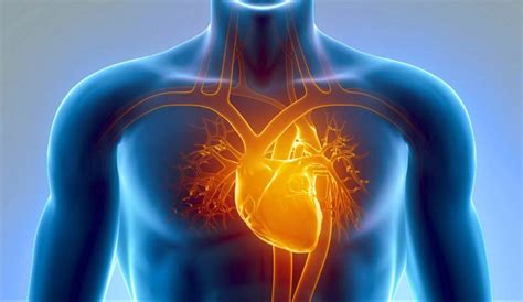 Cardiovascular Diseases Types Symptoms Causes Treatme