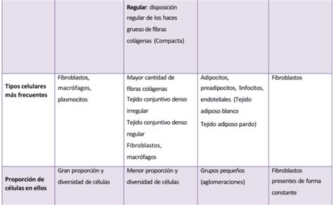 Como Hacer Un Cuadro Comparativo De Semejanzas Y