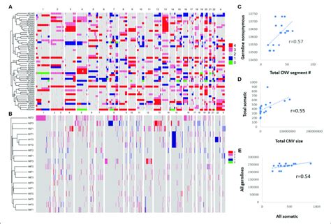 unsupervised hierarchical clustering of copy number variations among
