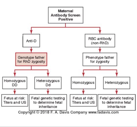 Hemolytic Disease Of The Fetus And Newborn Flashcards Quizlet